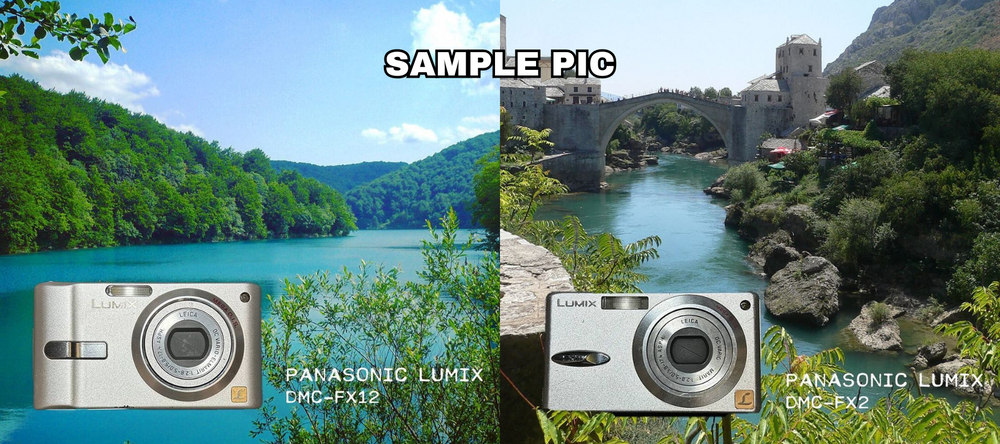 Golden Koi Fish DIY Digicam Sticker – Digi Vault