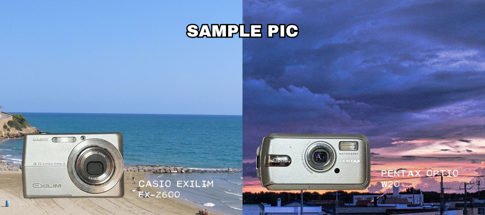 Golden Koi Fish DIY Digicam Sticker – Digi Vault