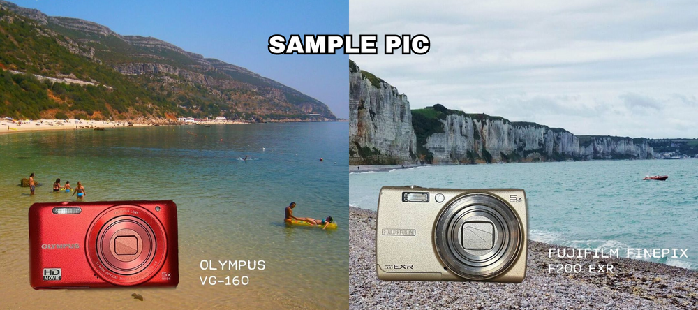 Golden Koi Fish DIY Digicam Sticker – Digi Vault